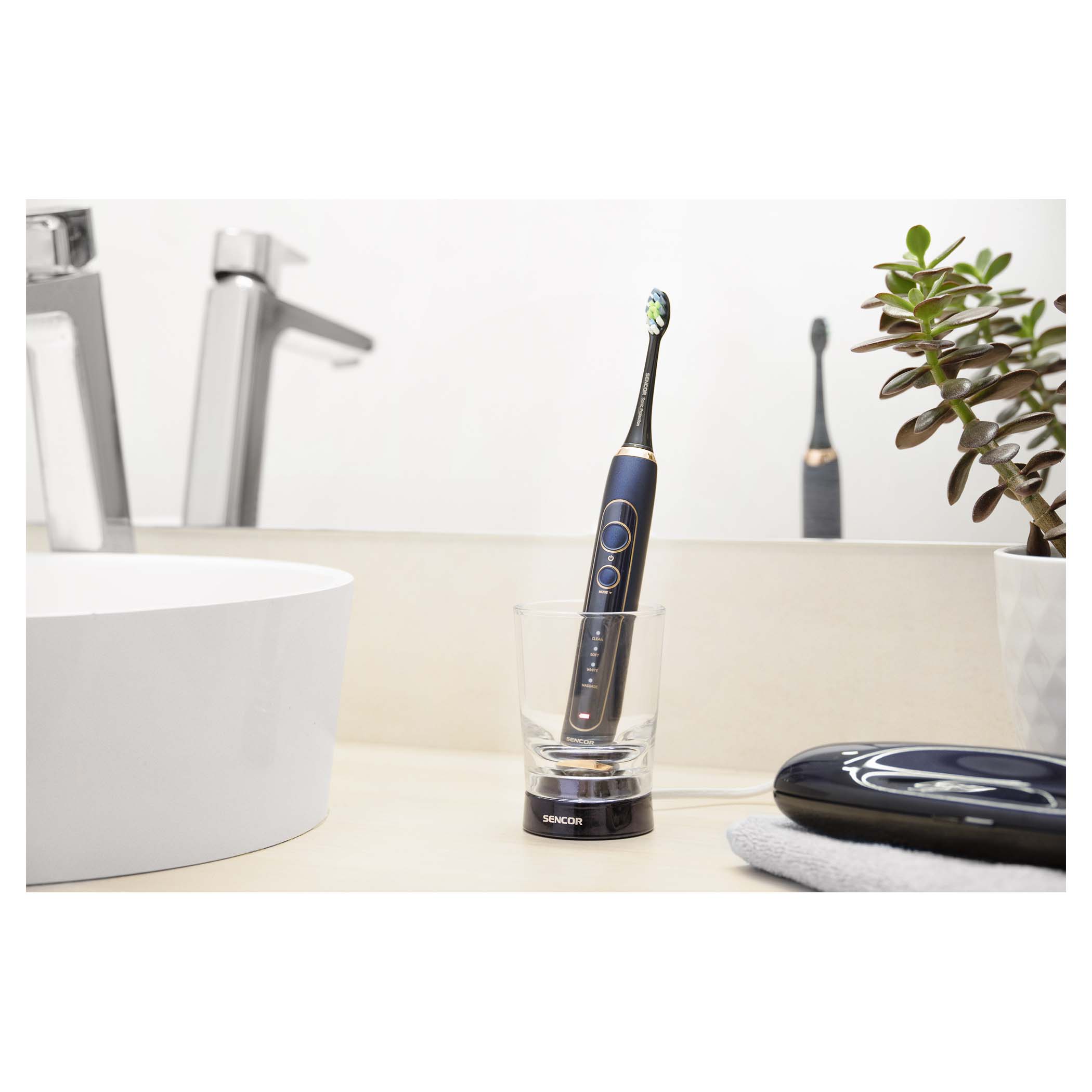 Electric Sonic Toothbrush | SOC 4210BL | Sencor.com